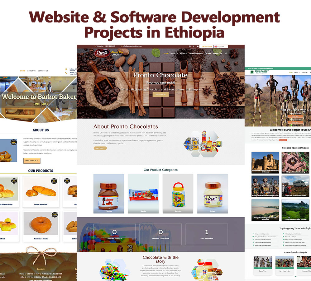 Portfolio & Case Studies | Web, App, Software & IT Solutions in Ethiopia - Engocha Technologies